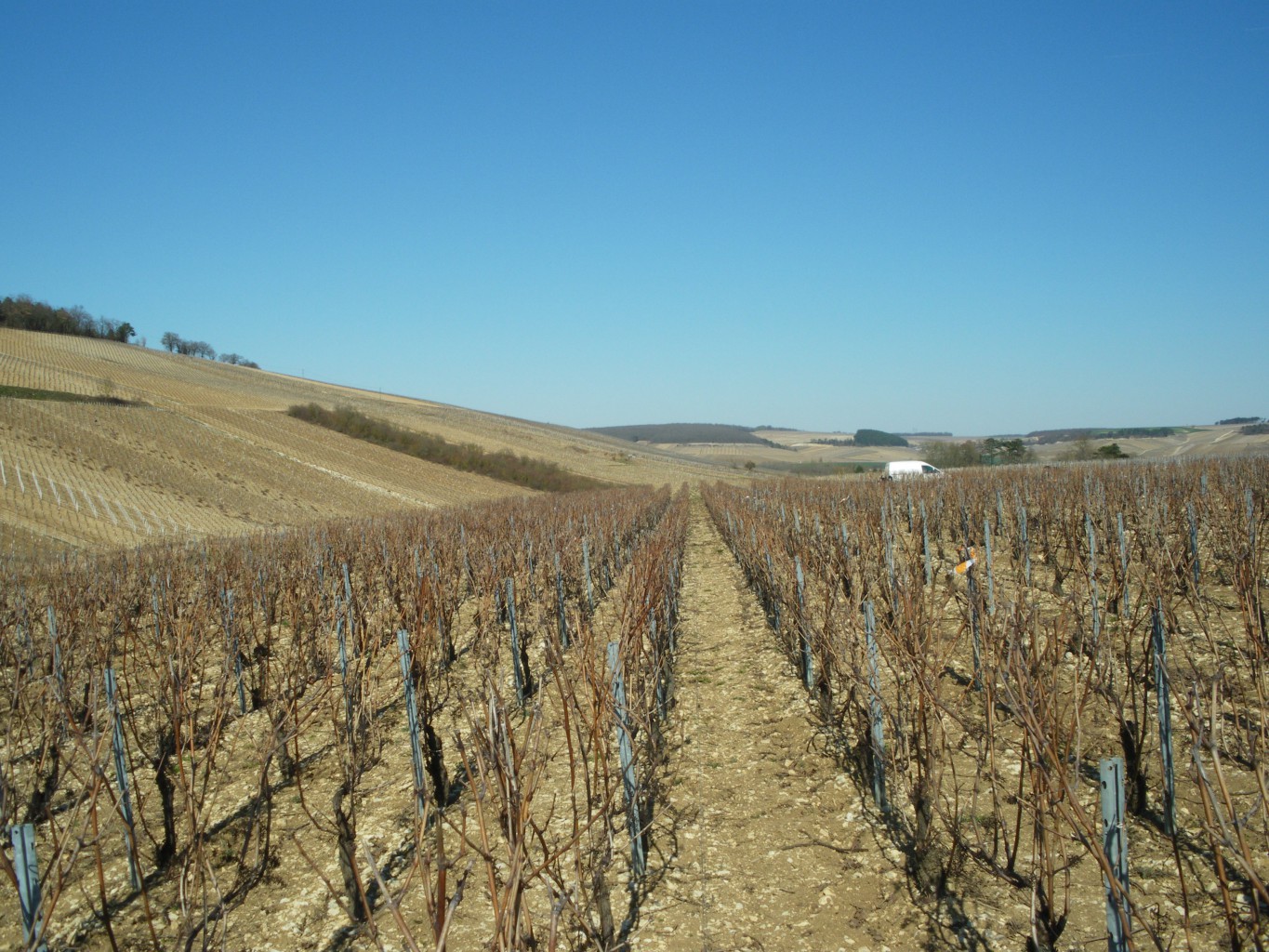 Galerie Photos - Domaine Fourrey